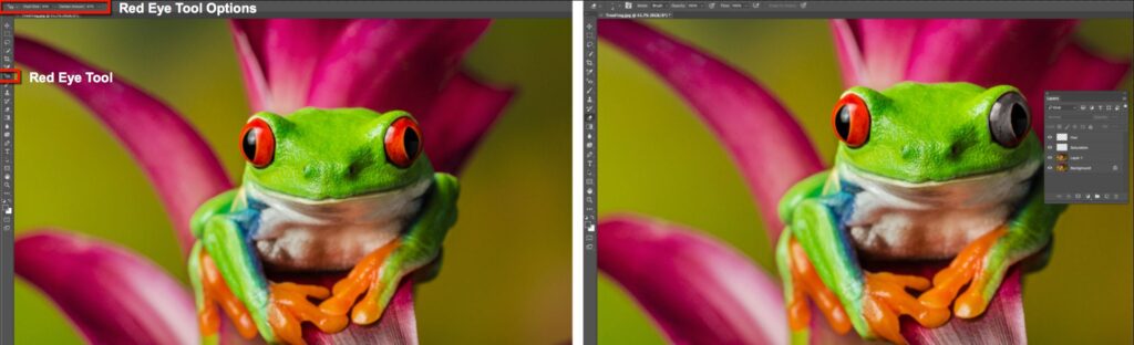 Supprimer les yeux rouges manuellement dans Photoshop